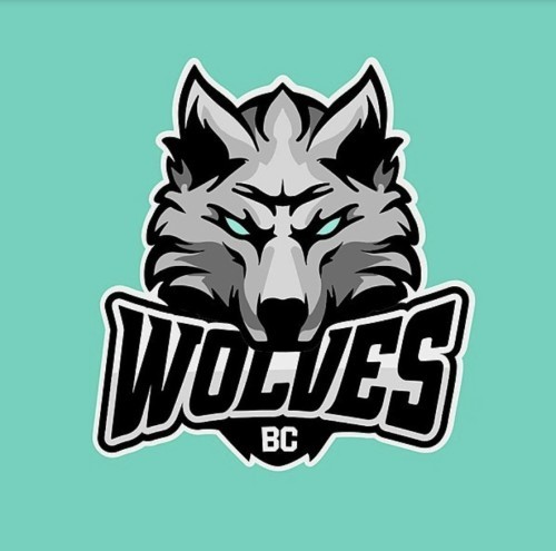 Revente Billet BC Wolves - Plateforme de revente de billets - PasseTonBillet